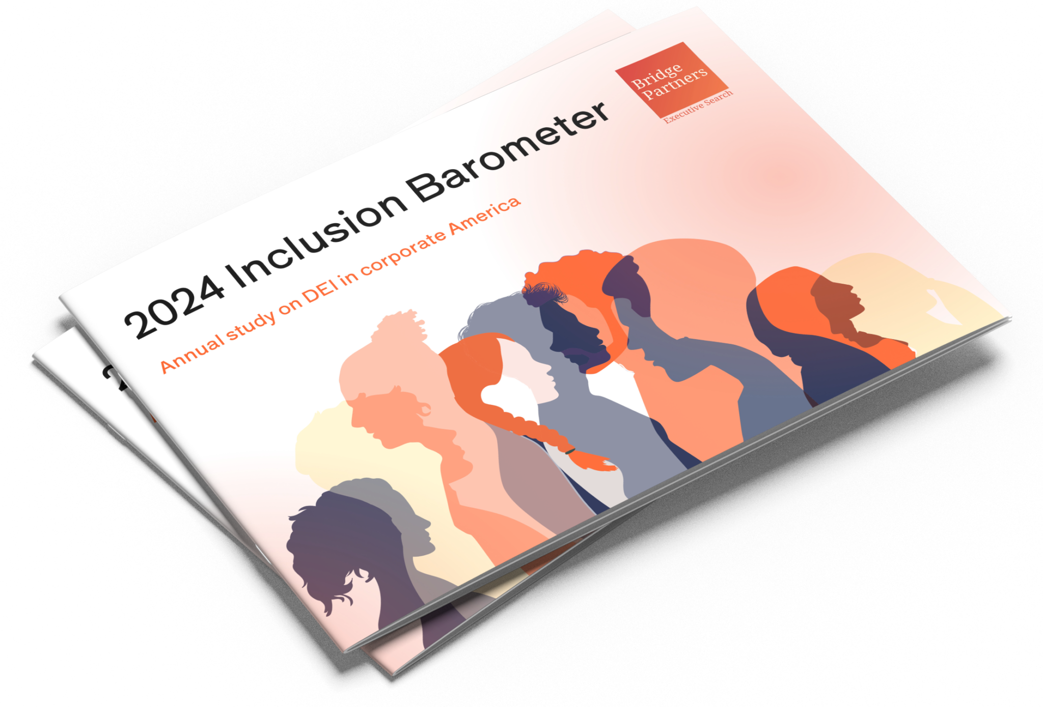 2024 Inclusion Barometer – Bridge Partners